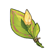 A Flower Yet to Bloom - Genshin Impact - HoYoWiki