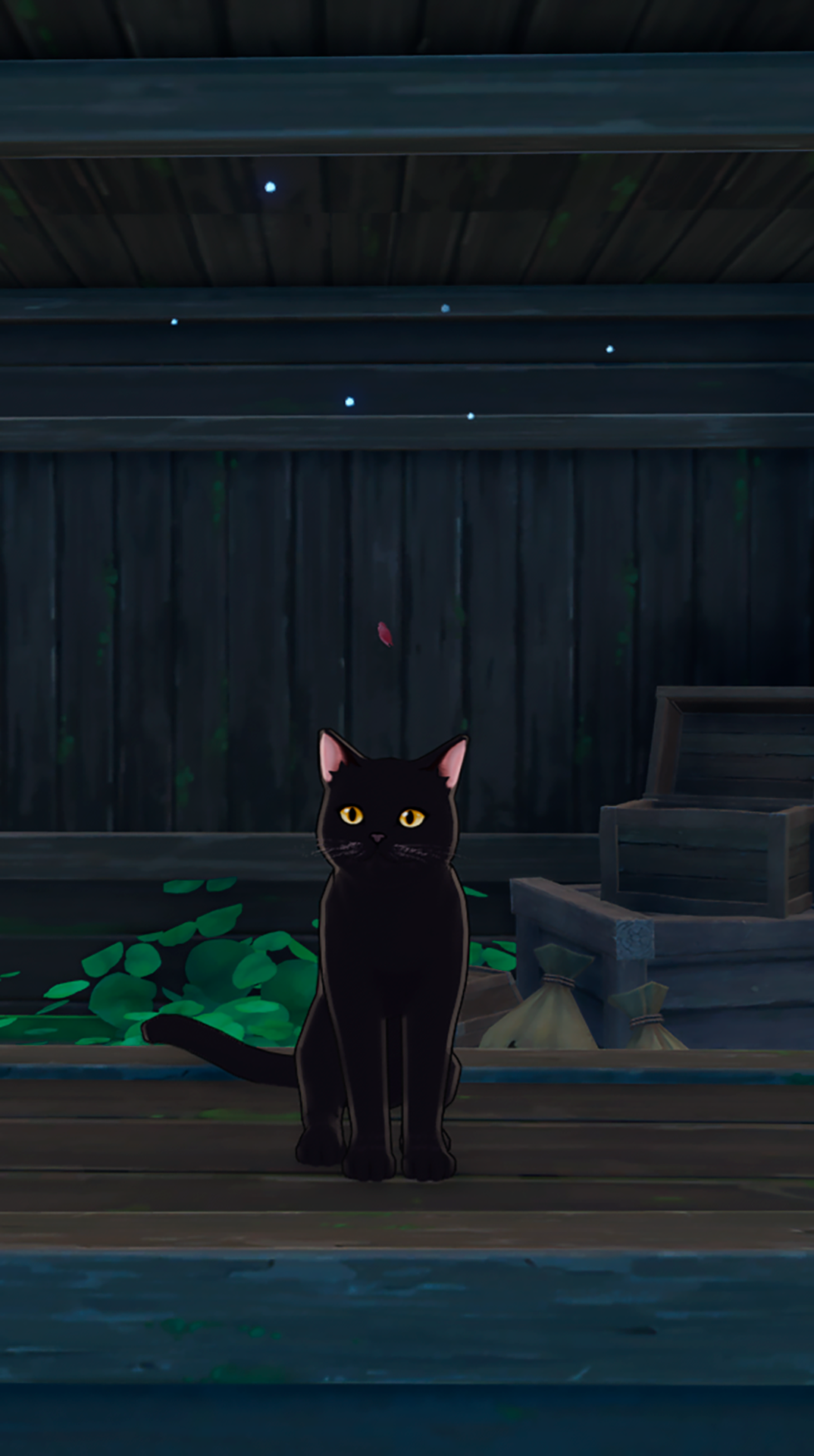 Neko - Genshin Impact - HoYoWiki